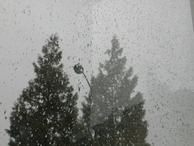 Installations – Jane Taylor-Weekes